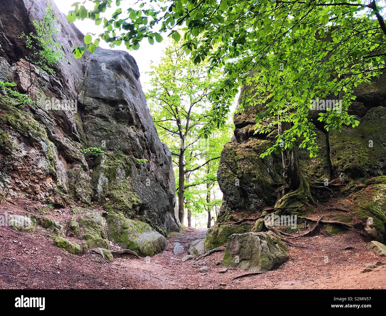 Magic nature hi-res stock photography and images - Alamy