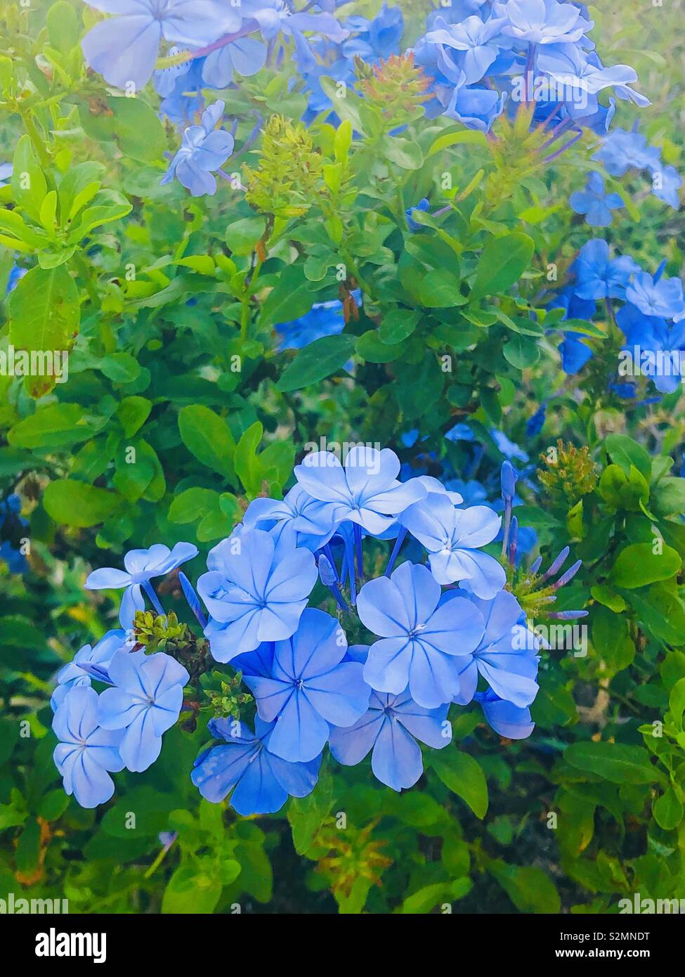 Blue scenery hi-res stock photography and images - Alamy