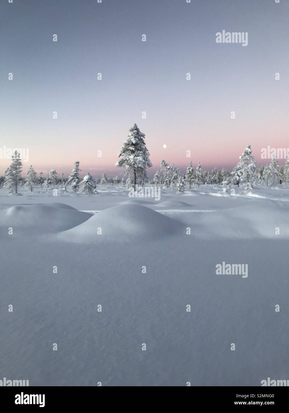 Snow scene in Finland Stock Photo - Alamy