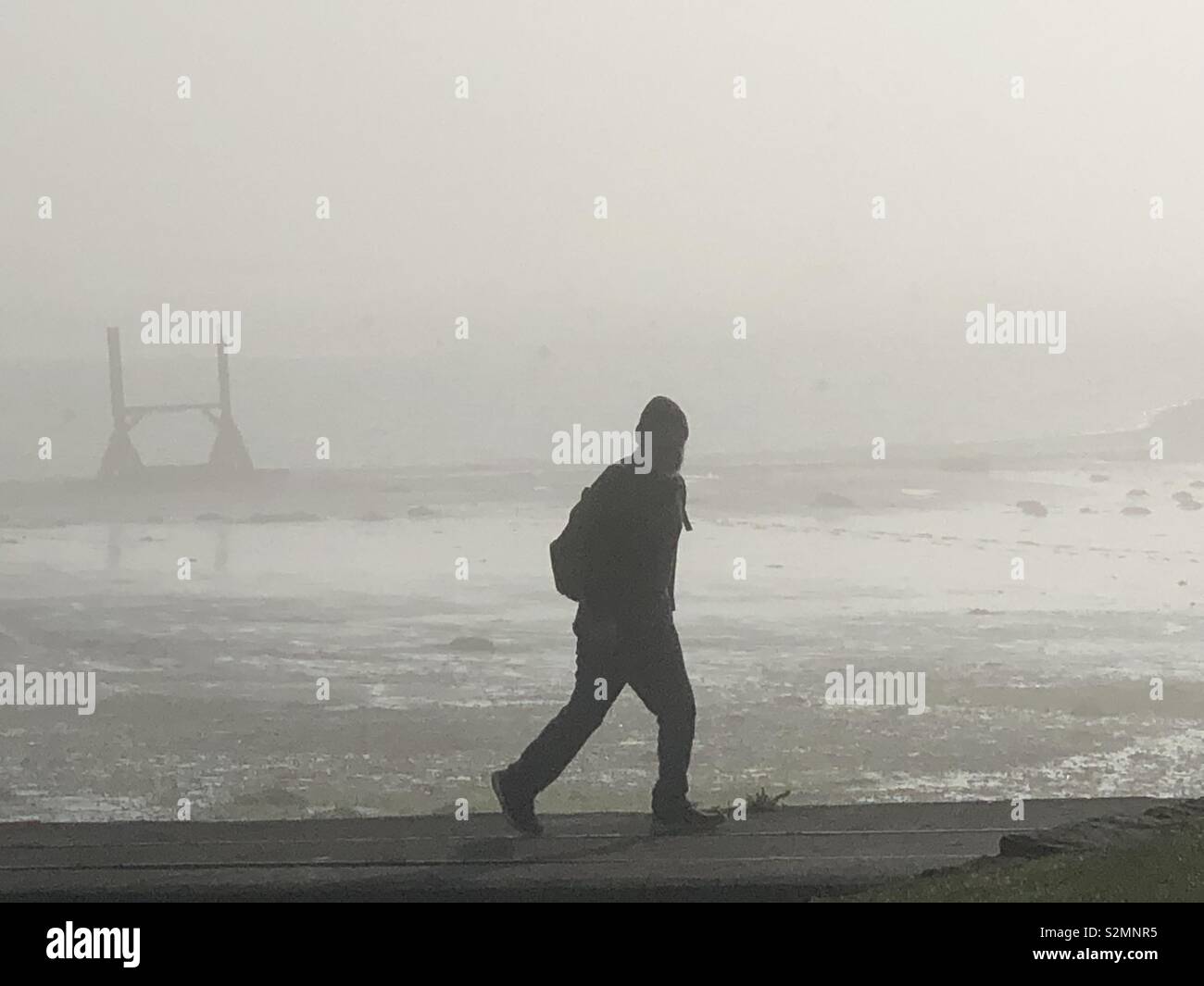 A walk in the Mist Stock Photo - Alamy