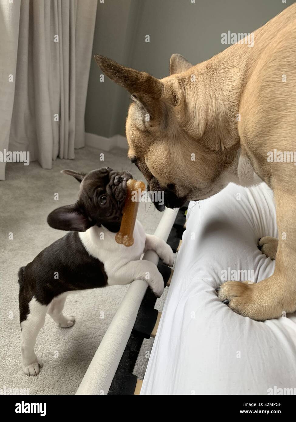 Please Play High Resolution Stock Photography and Images - Alamy