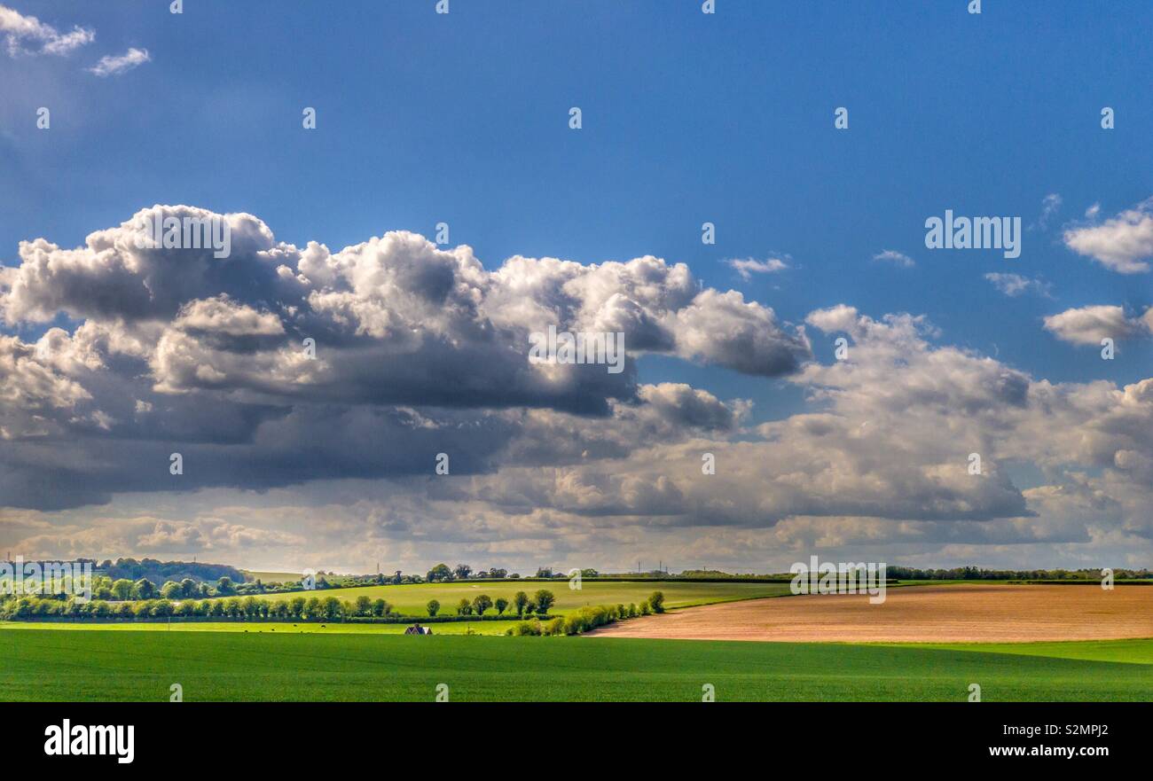 Spring fields hi-res stock photography and images - Alamy