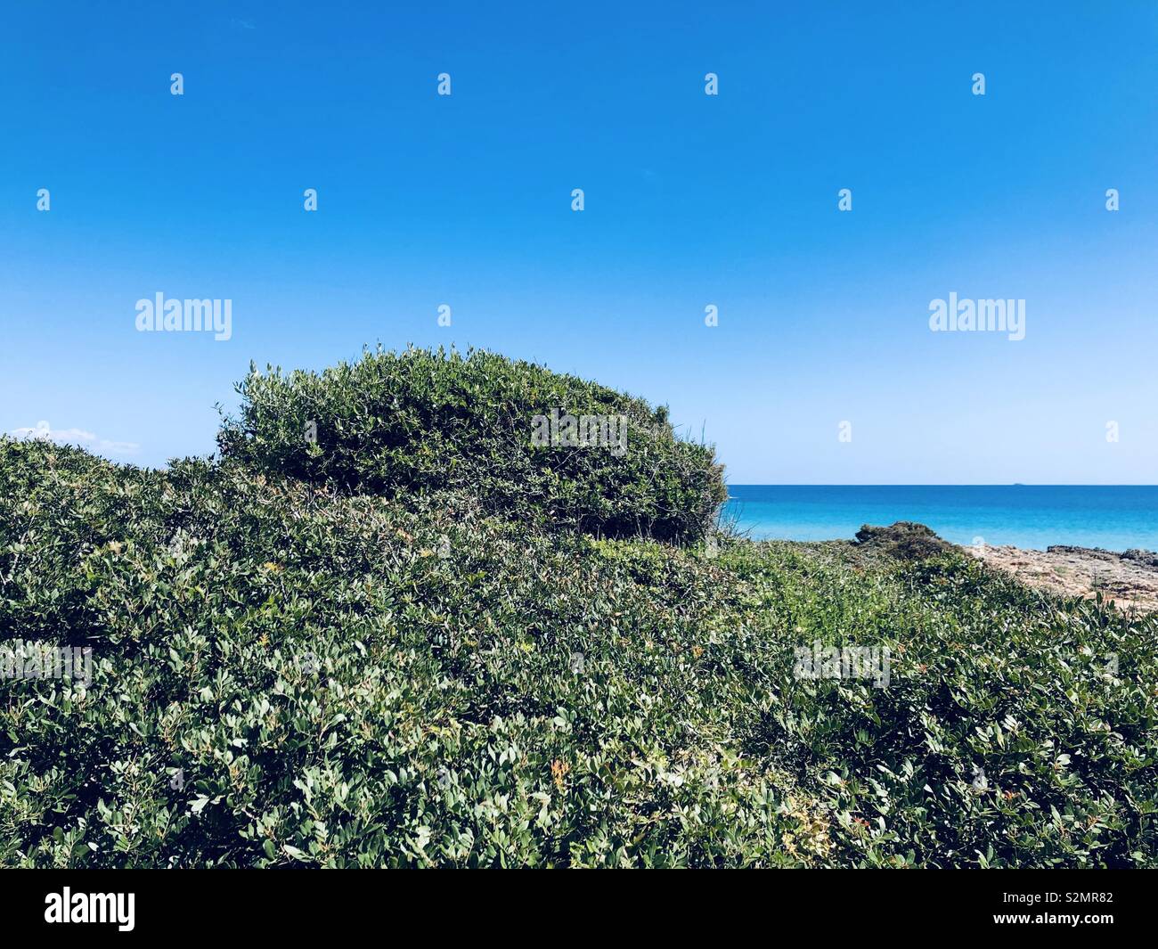 Menorca vegetation hi-res stock photography and images - Alamy