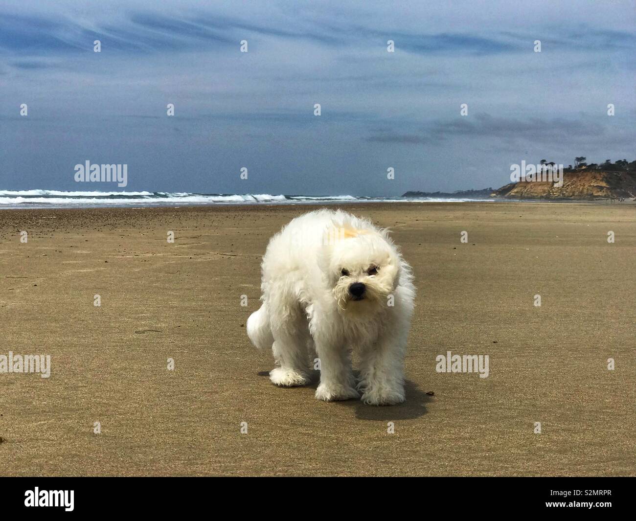 Transformed beach hi-res stock photography and images - Alamy