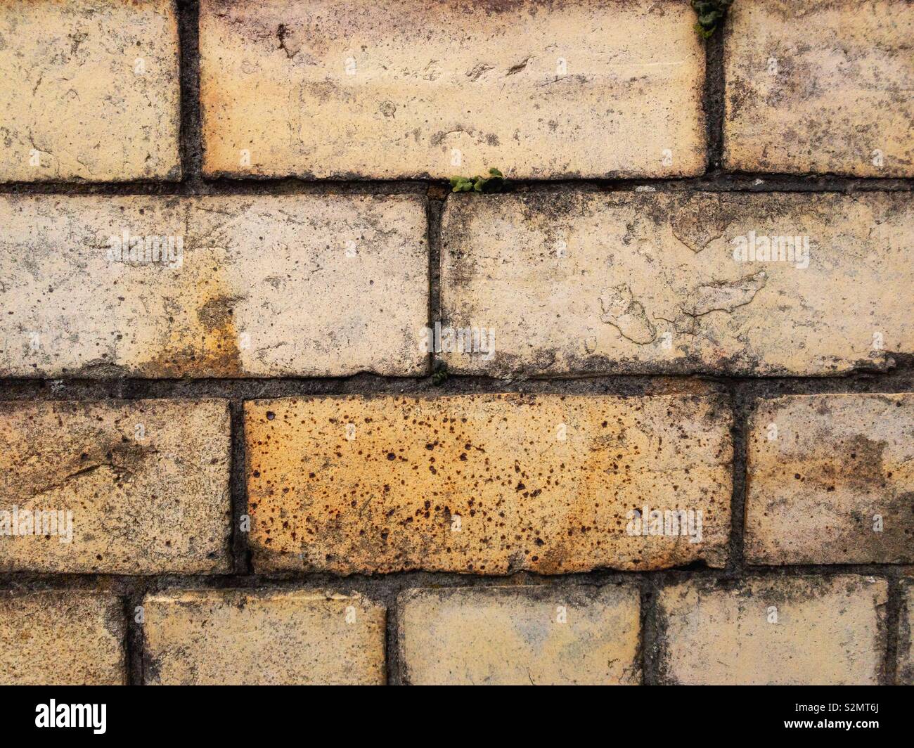 Buff brick texture hi-res stock photography and images - Alamy