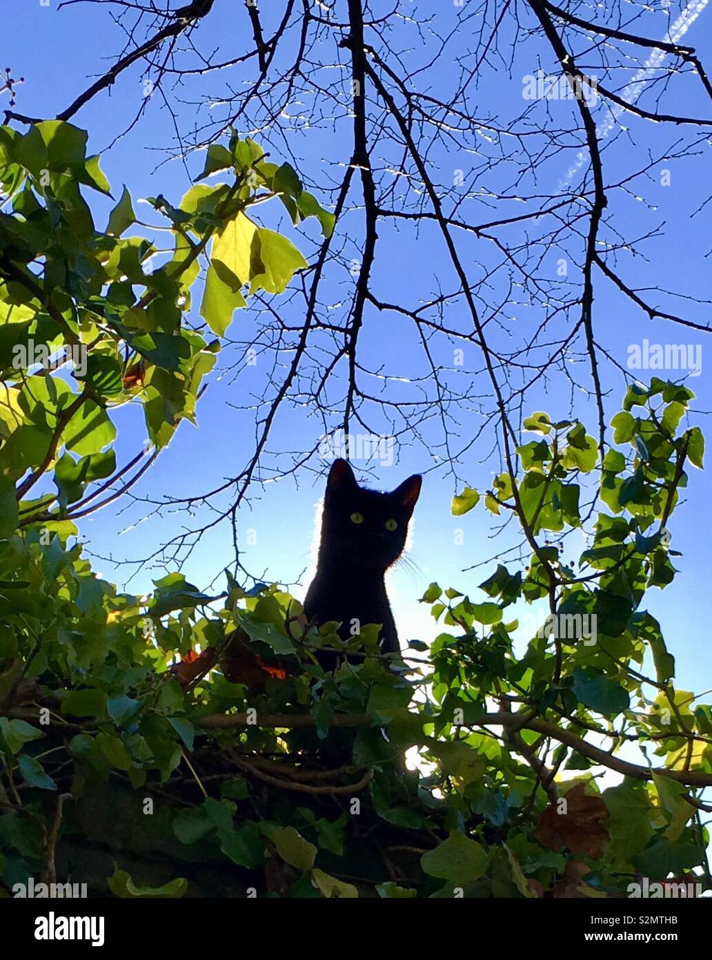 Dora the explorer hi-res stock photography and images - Alamy