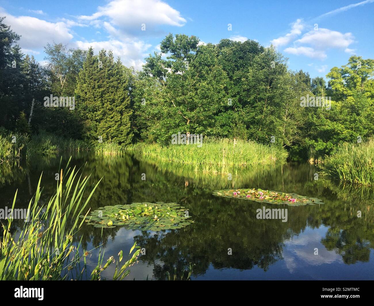 Beautiful yard hi-res stock photography and images - Alamy
