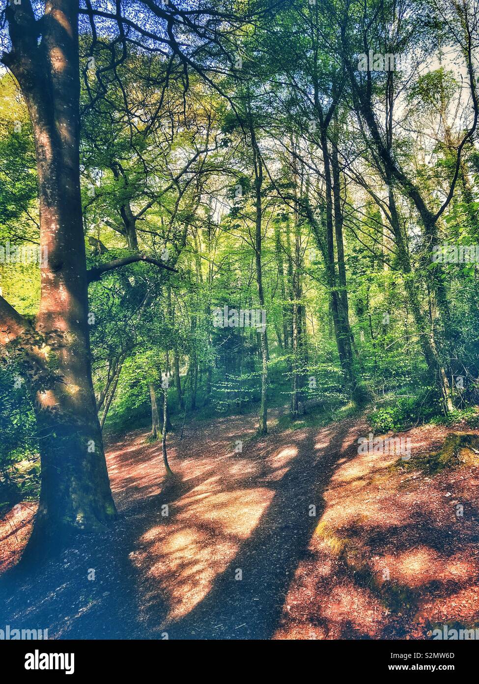 Sunshine and shadows hi-res stock photography and images - Alamy