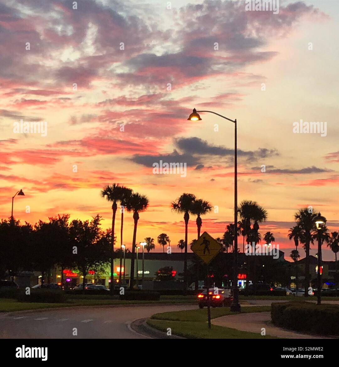 Red sky with trees hi-res stock photography and images - Alamy