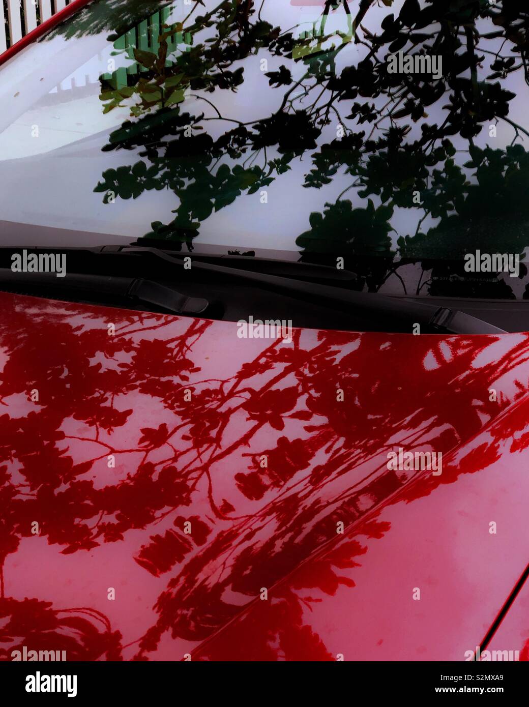 Car window reflections Stock Photo - Alamy