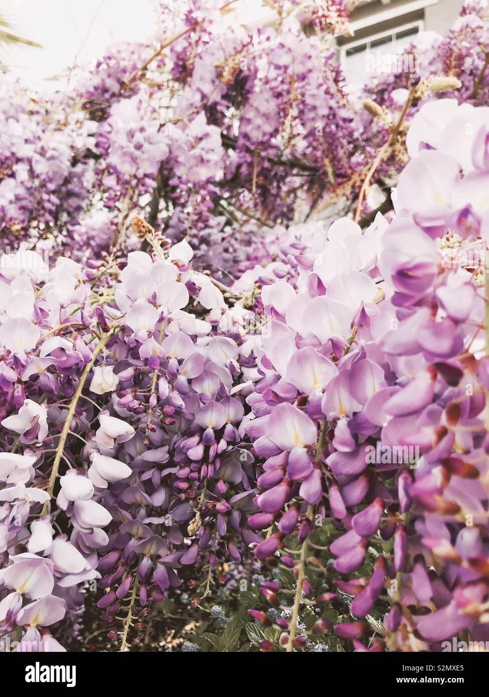 Spring season images hi-res stock photography and images - Alamy