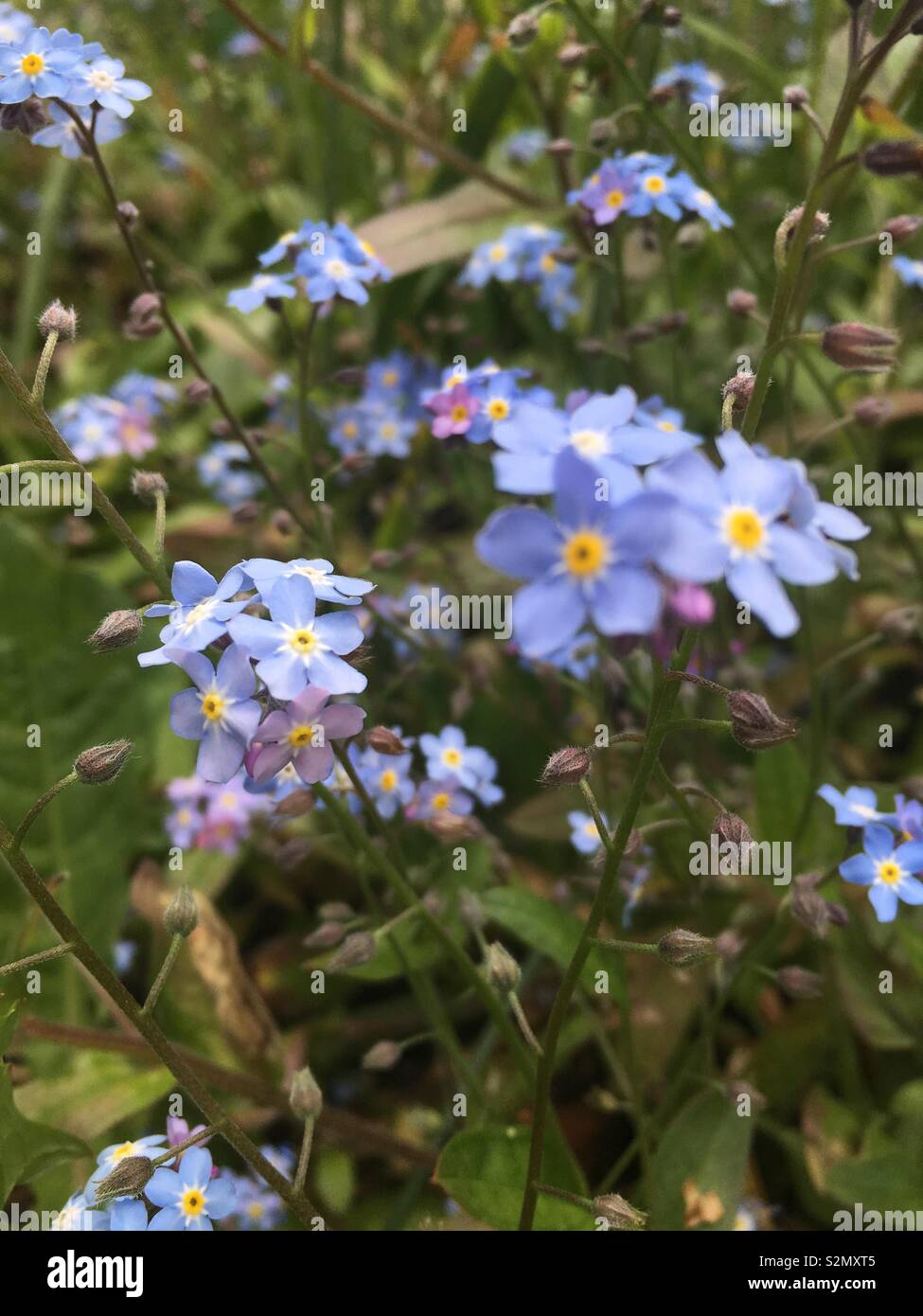 Not focus hi-res stock photography and images - Alamy