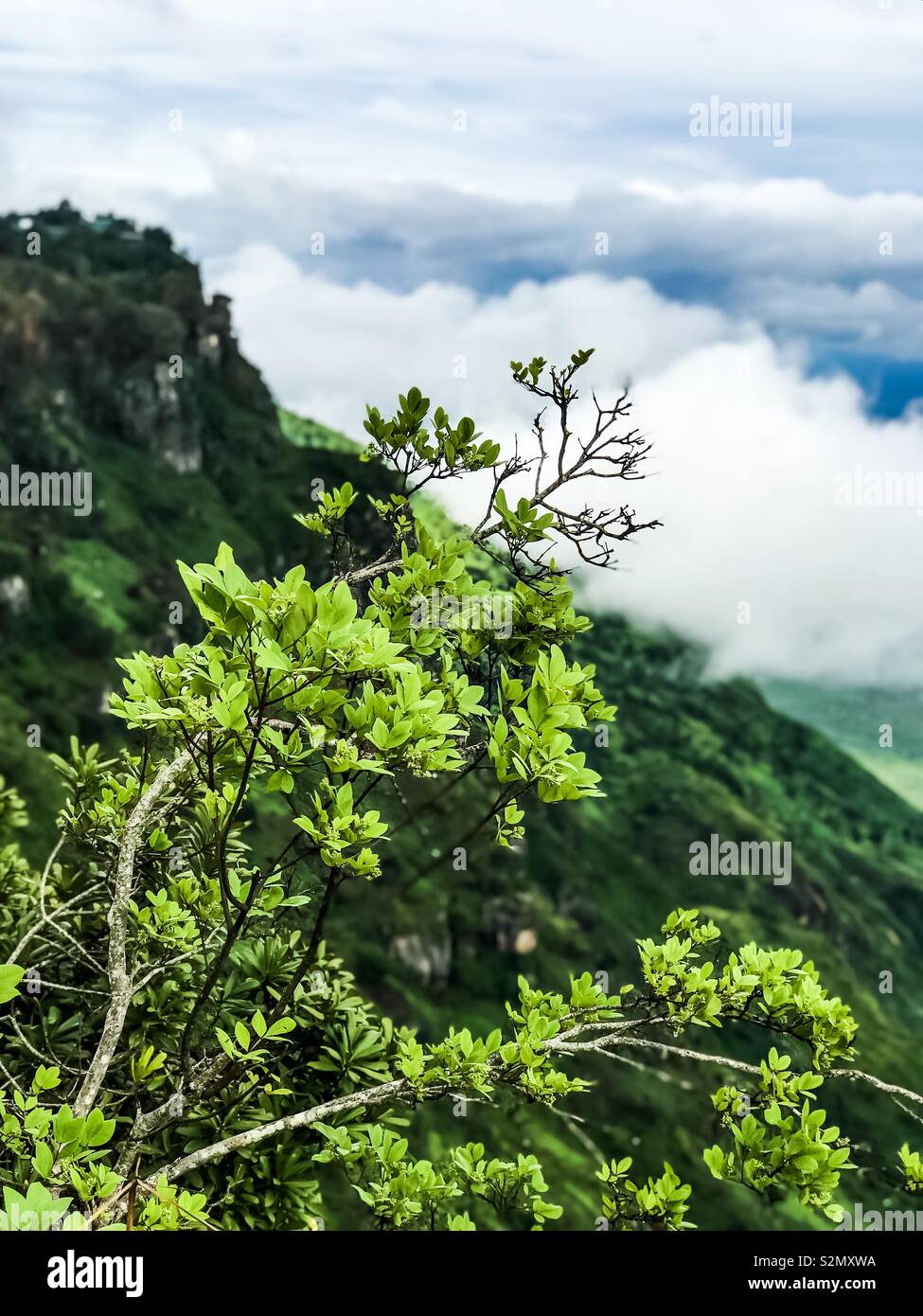 Beautiful scenery at Irente View Point Stock Photo - Alamy