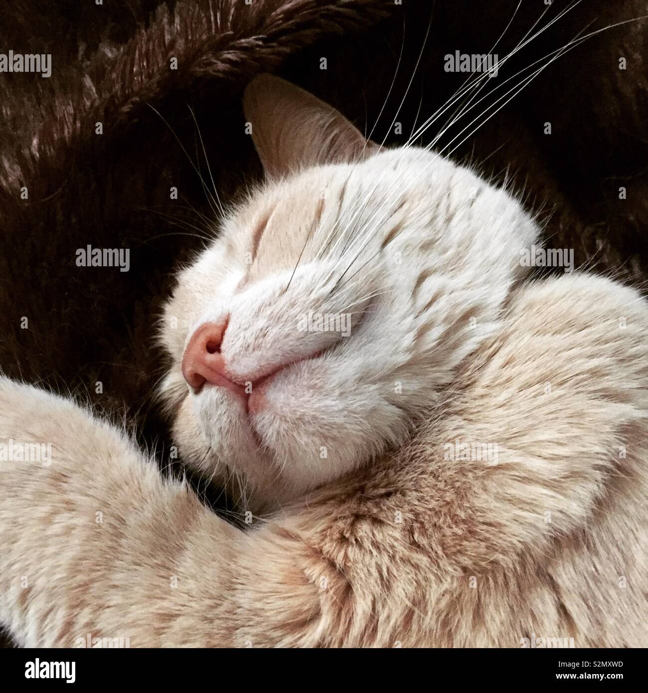 Slumber sea hi-res stock photography and images - Alamy