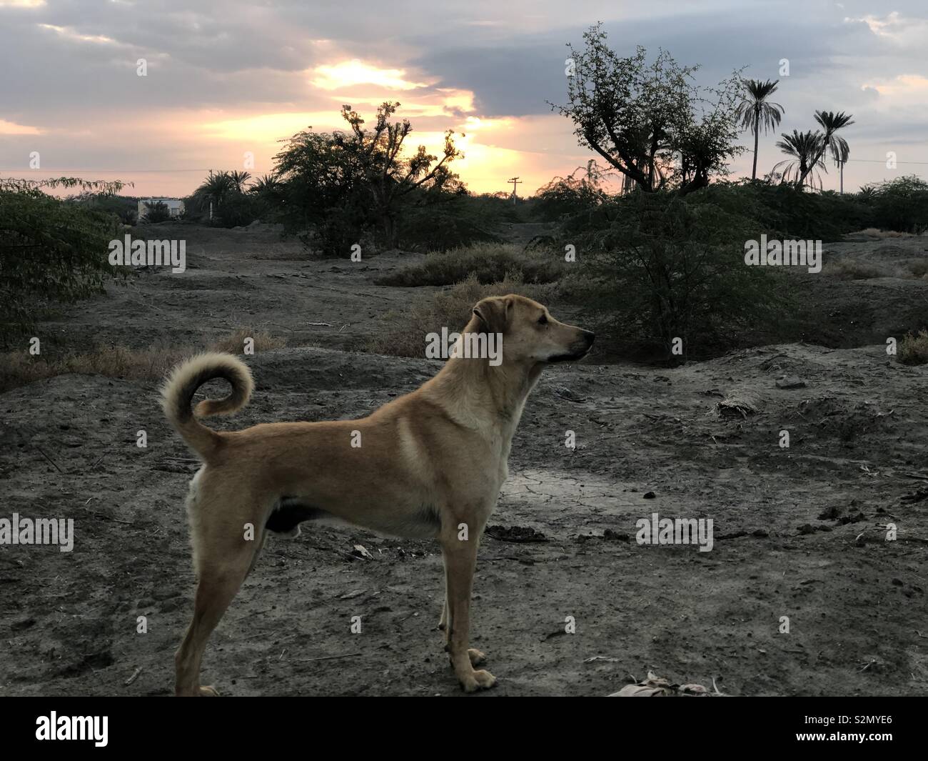 Calm photography hi-res stock photography and images - Alamy