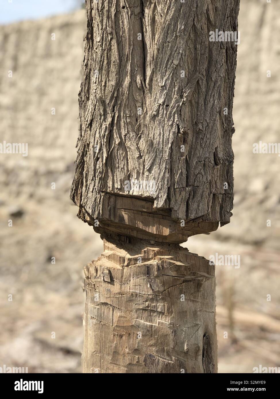 Great cutting hi-res stock photography and images - Alamy