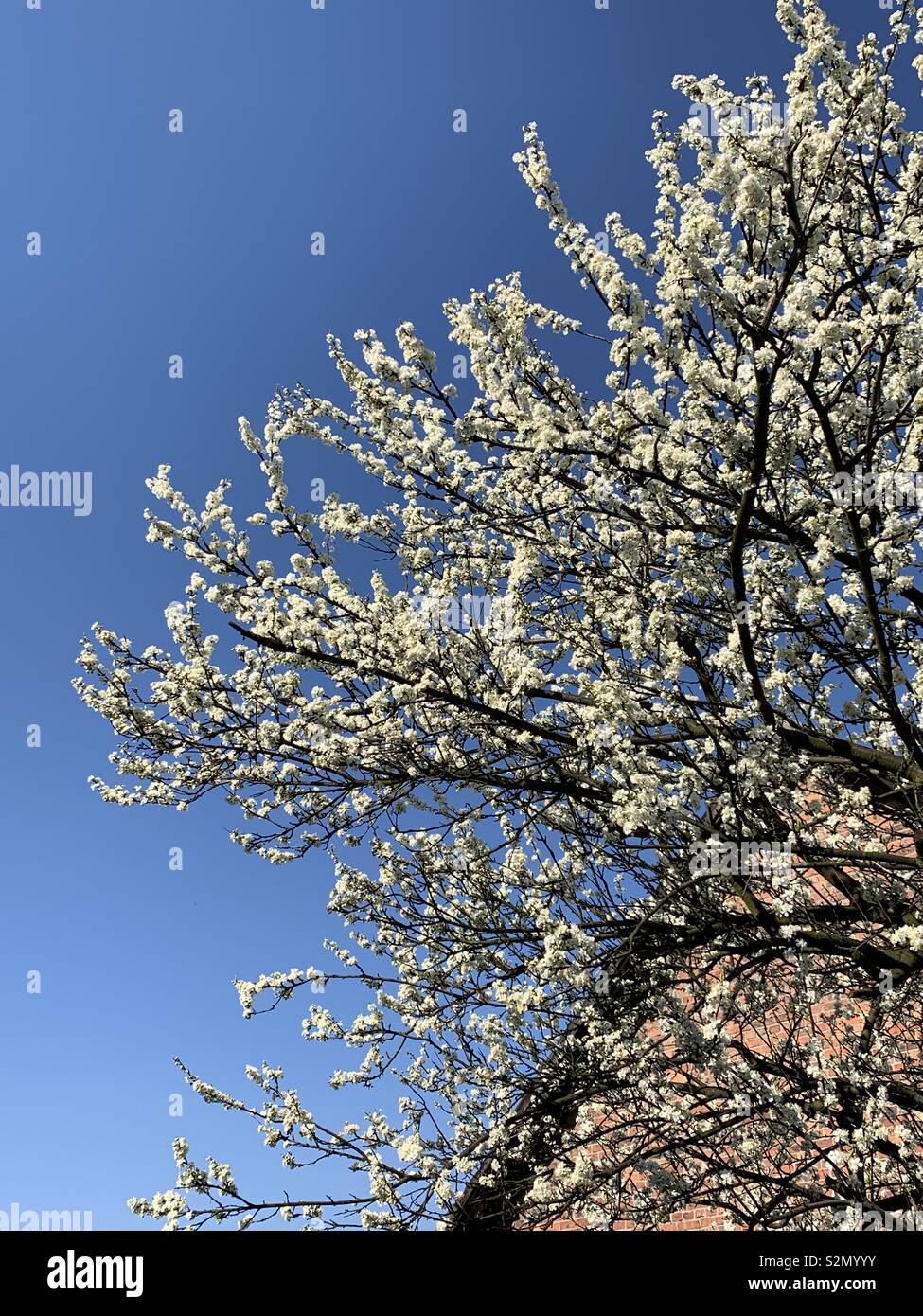 Earth, sky, and weather hi-res stock photography and images - Alamy