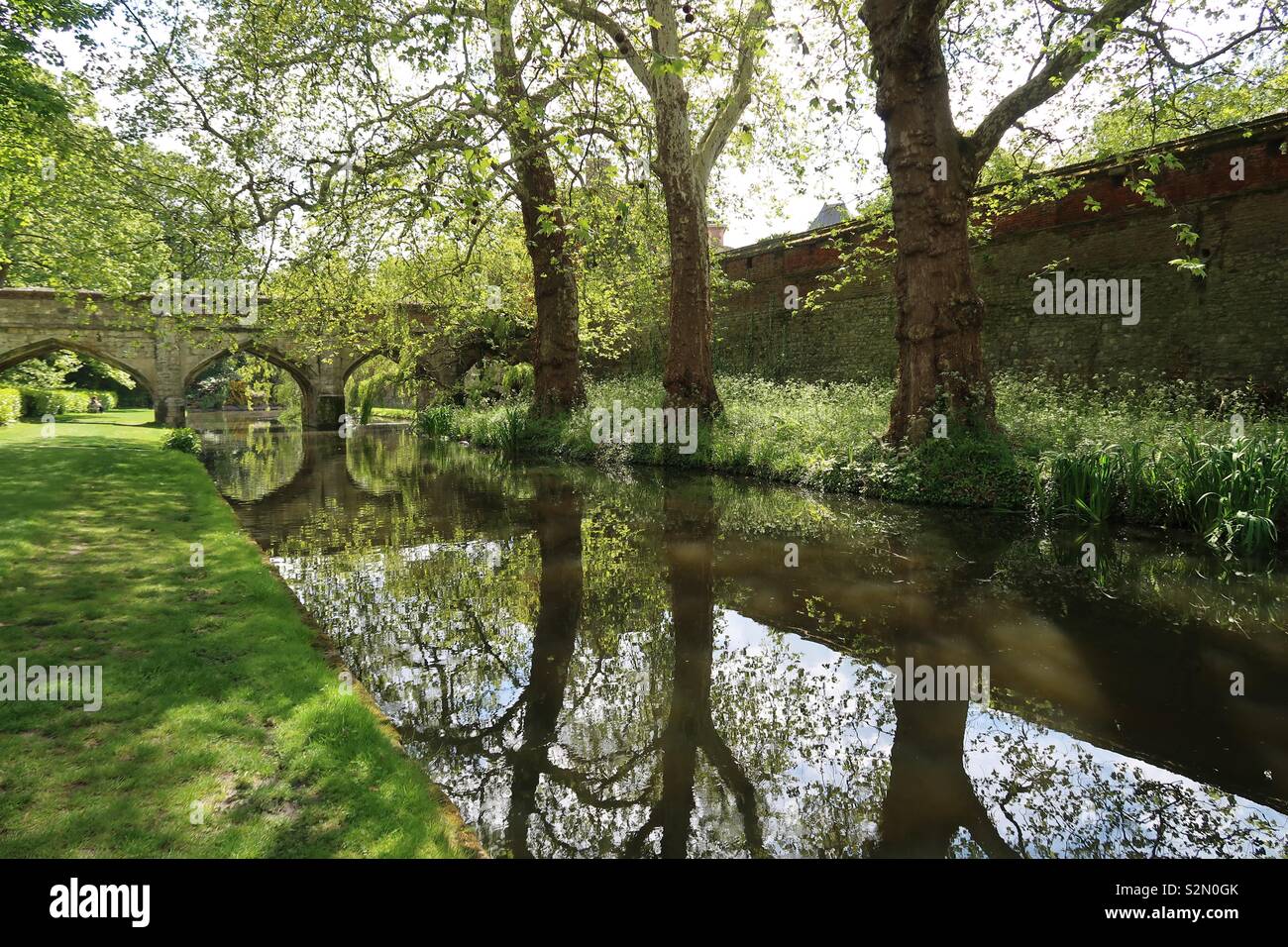 Trees and bridge over a river Stock Photo - Alamy