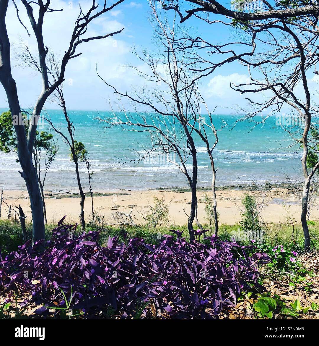 Point Vernon, Hervey Bay, Queensland, Australia Stock Photo - Alamy