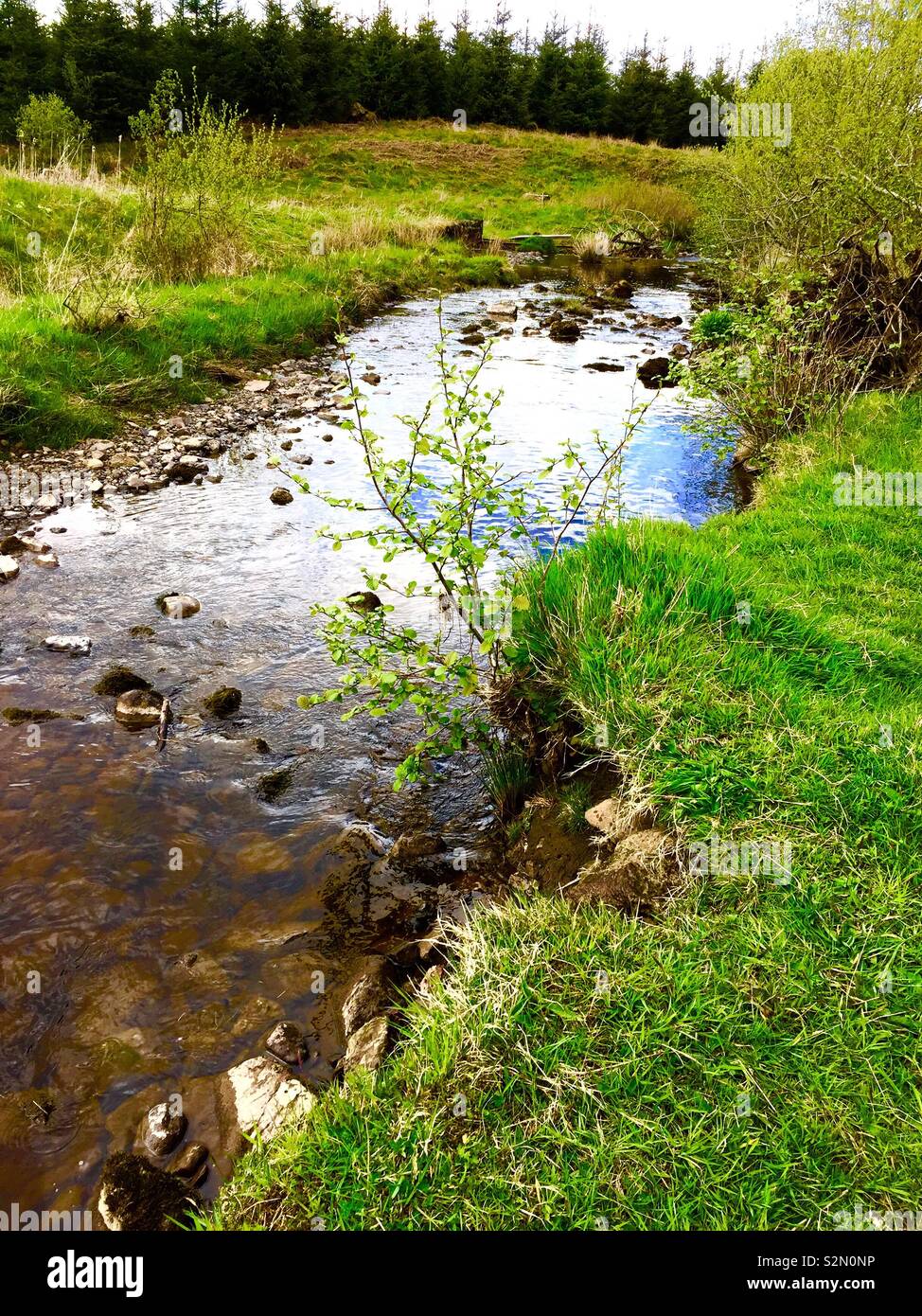 Stream burn hi-res stock photography and images - Alamy