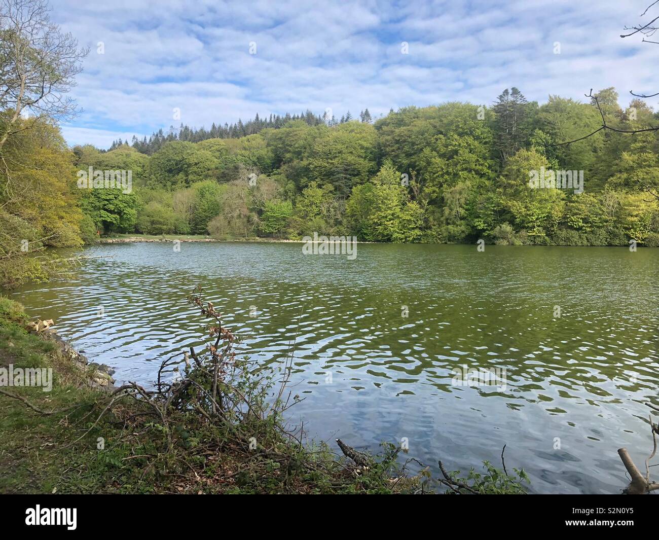 Castlewellan lake and forest park hi-res stock photography and images ...