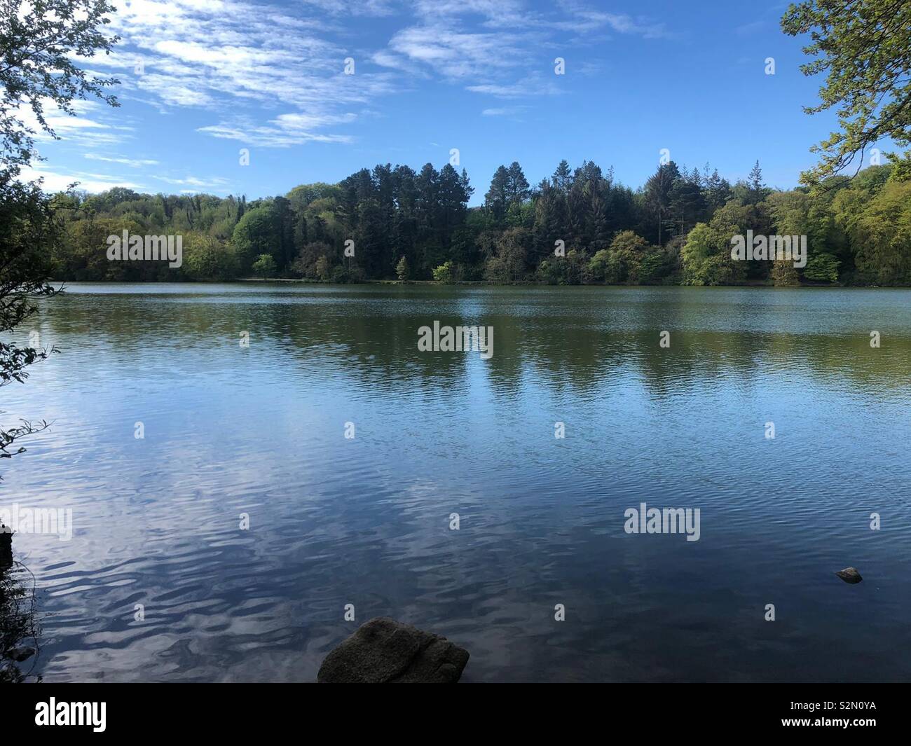 Castlewellan lake and forest park hi-res stock photography and images ...