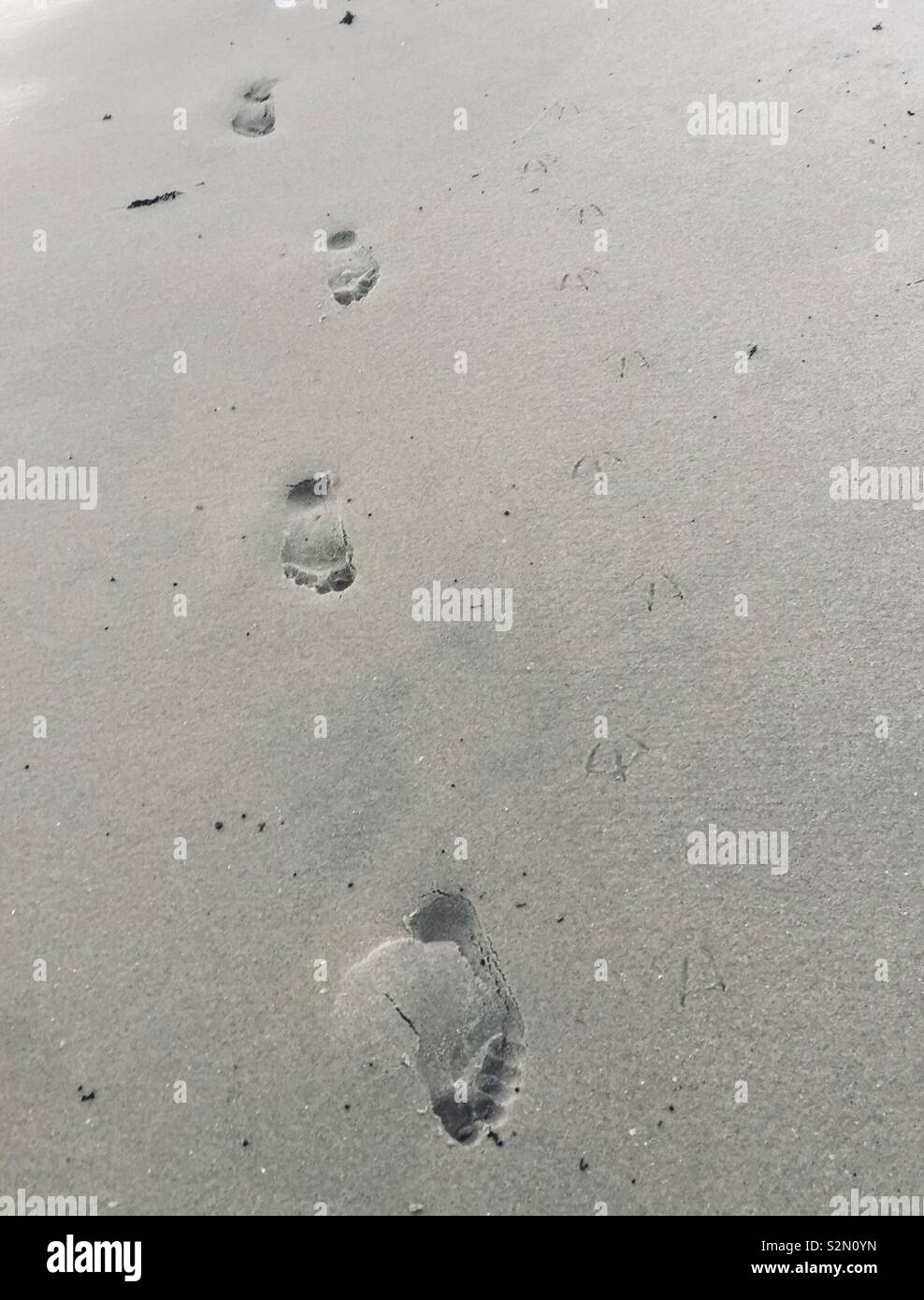 Sand two sets of footprints hi-res stock photography and images - Alamy