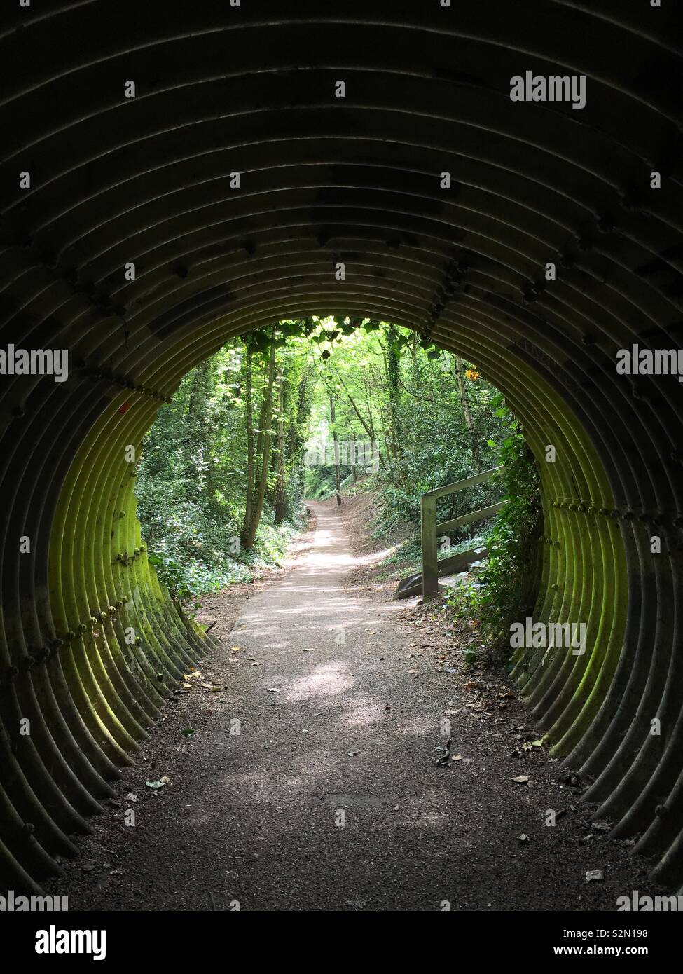 Walk through nature Stock Photo - Alamy