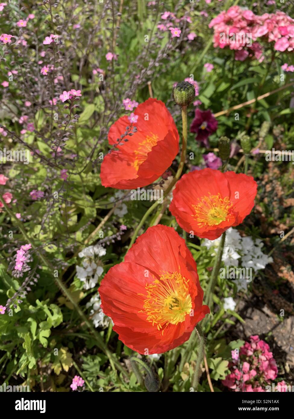 Spring 2019 hi-res stock photography and images - Alamy