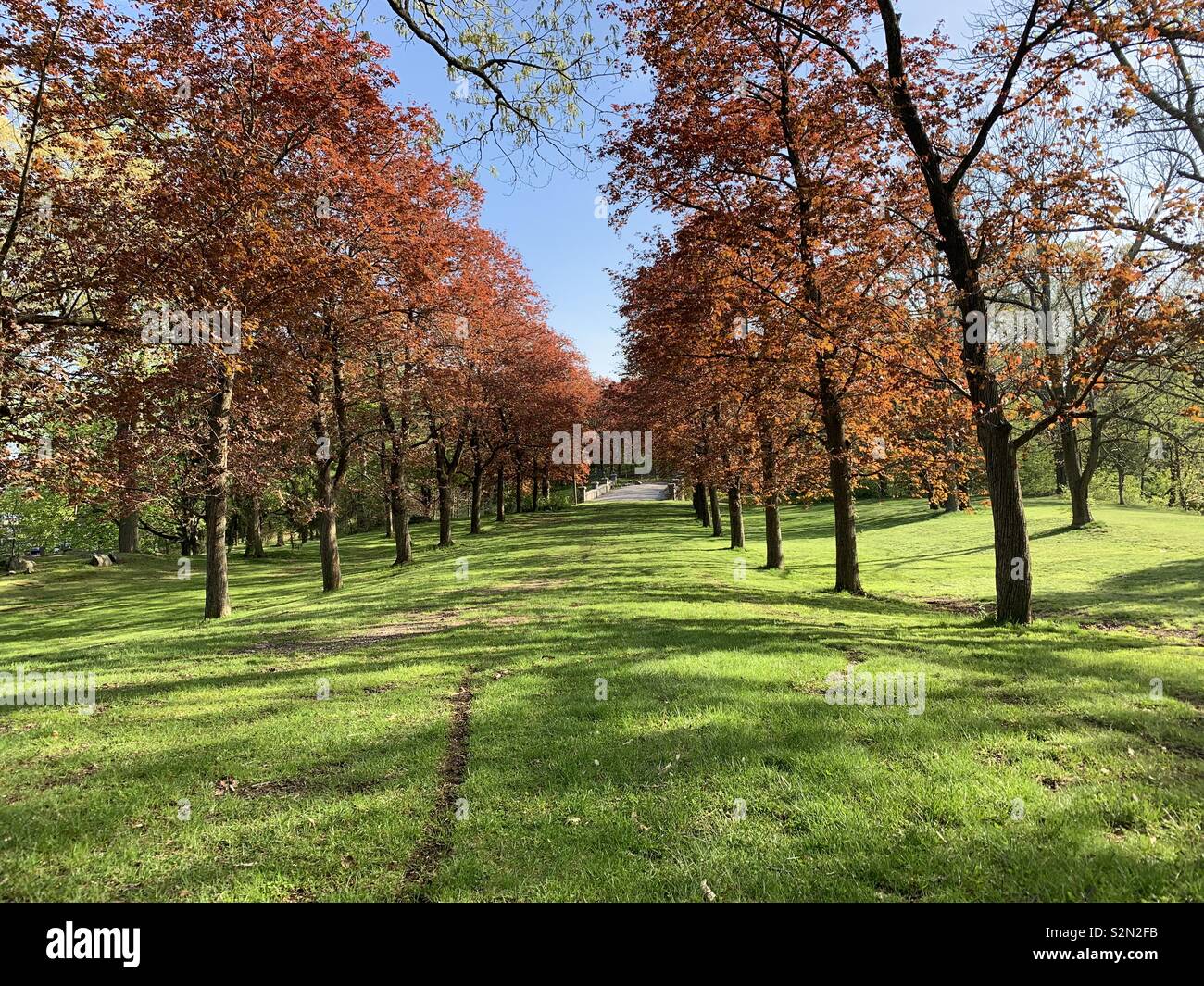 Pathway in park leading to bridge Stock Photo - Alamy