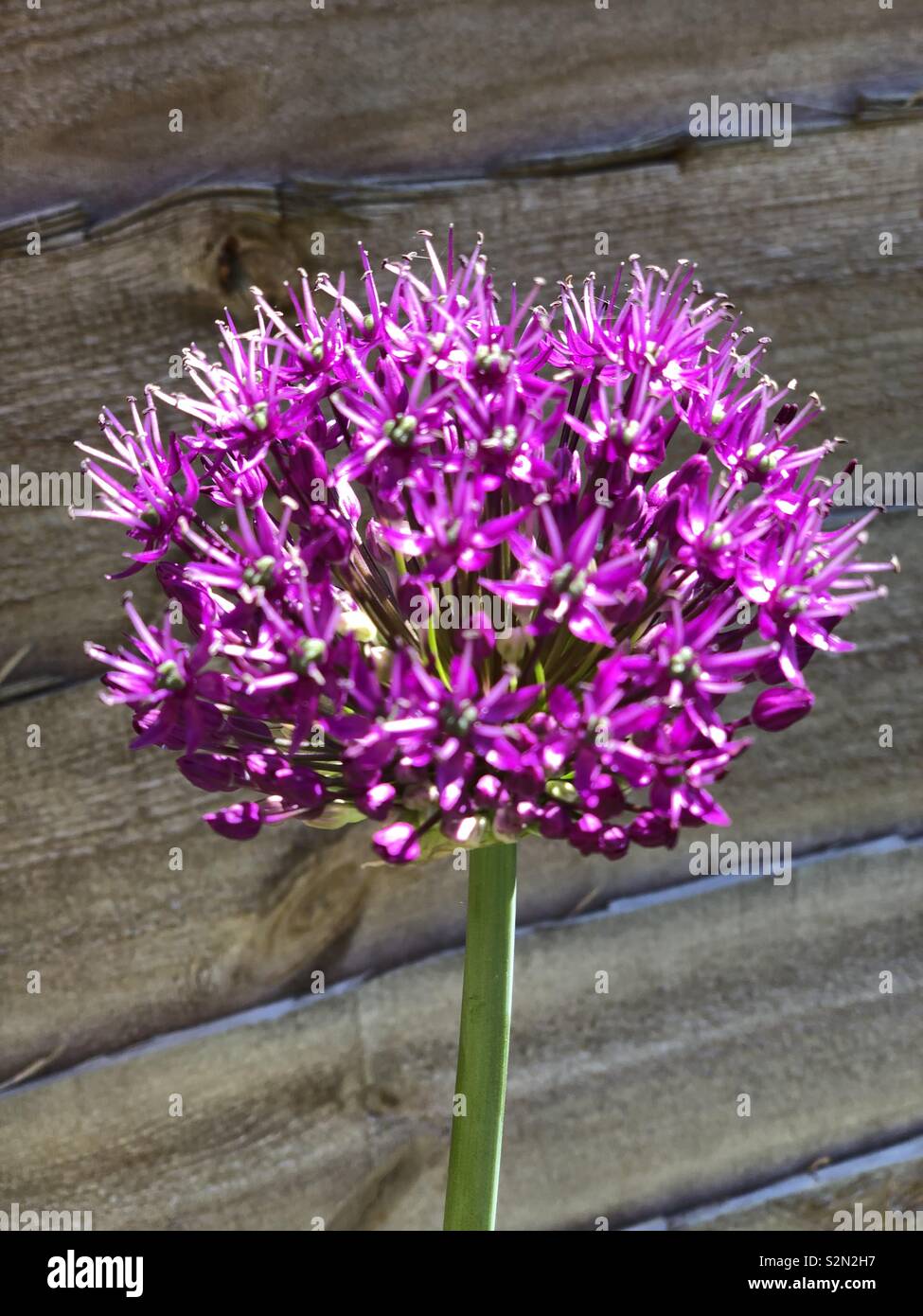 Spring had sprung hi-res stock photography and images - Alamy