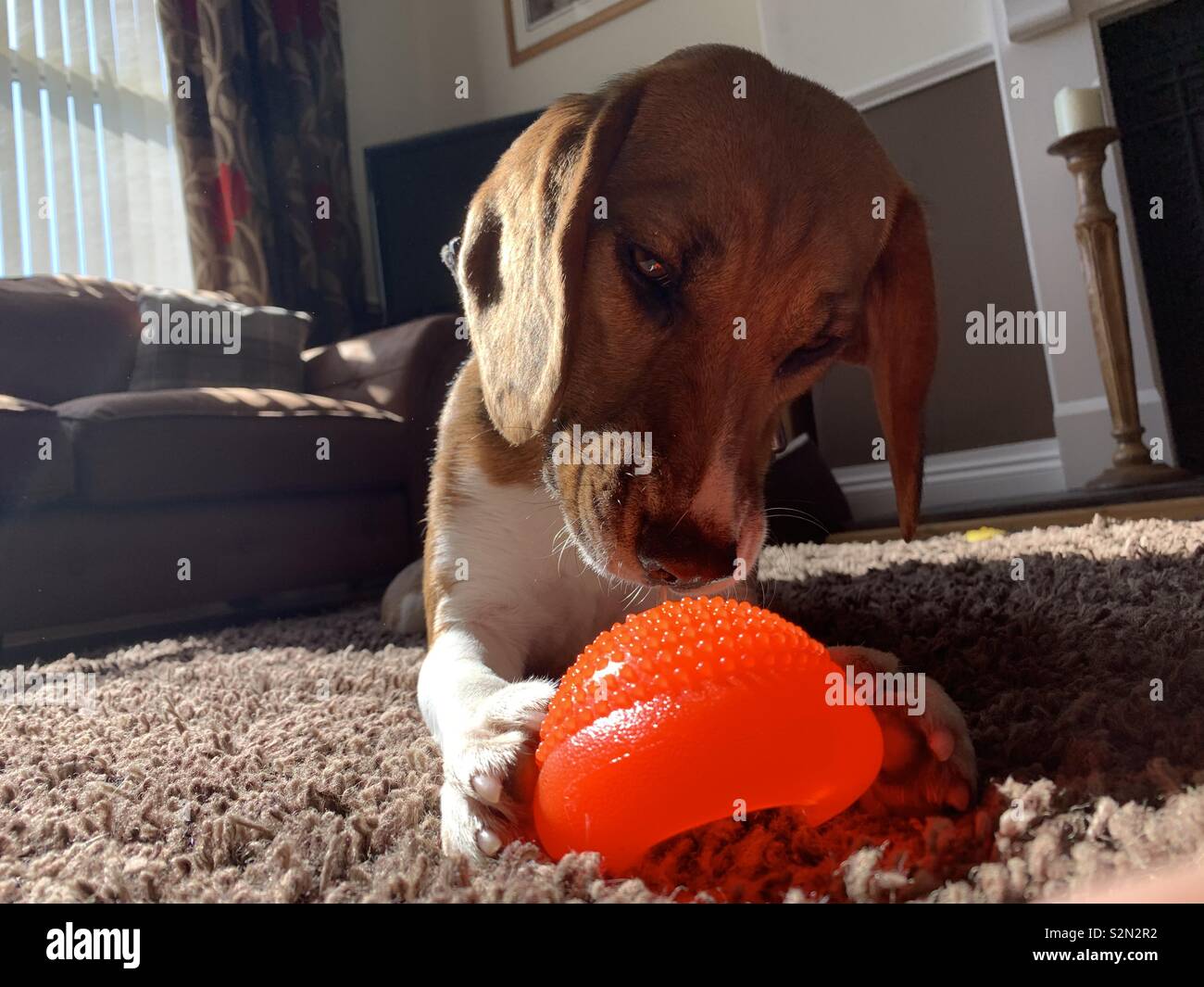 Big red button hi-res stock photography and images - Alamy