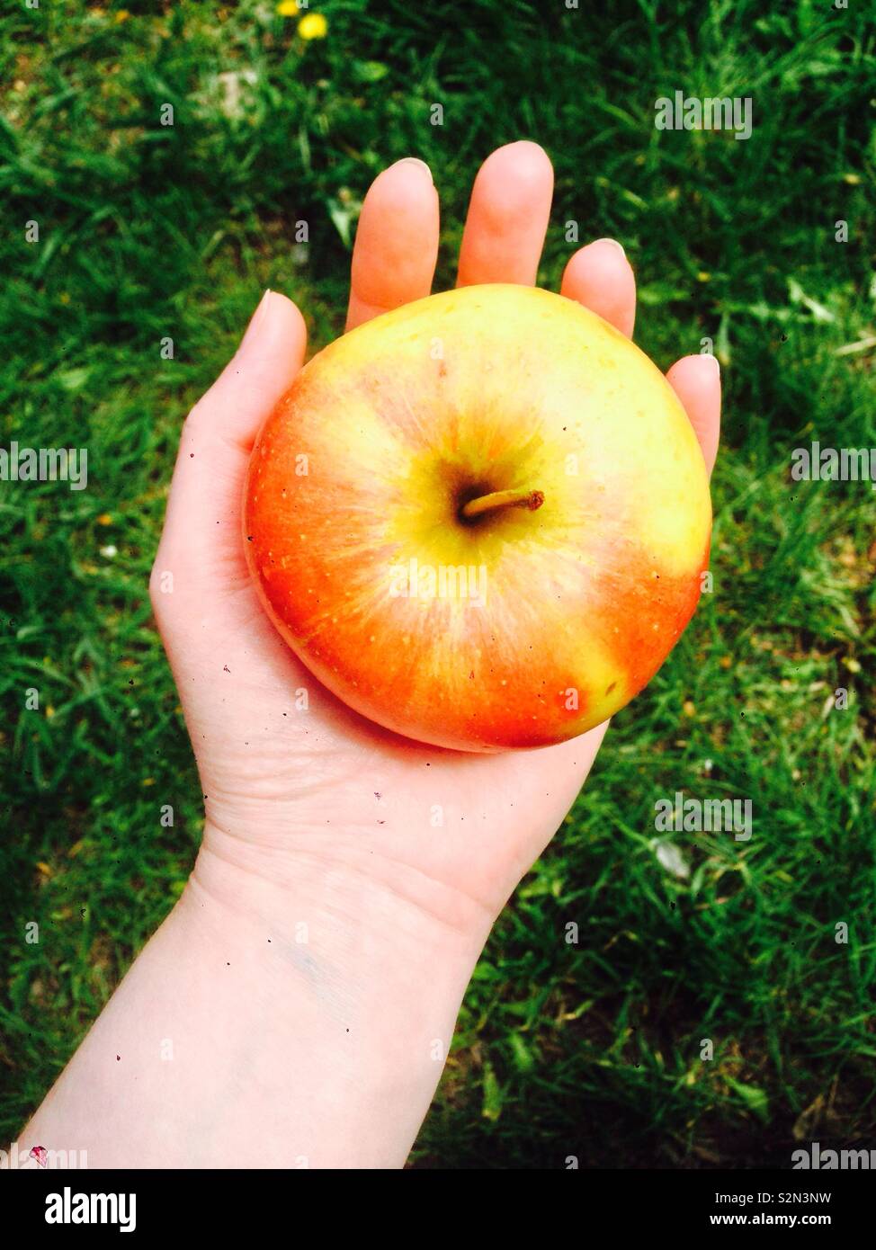 Apple fine fruit Stock Photo - Alamy