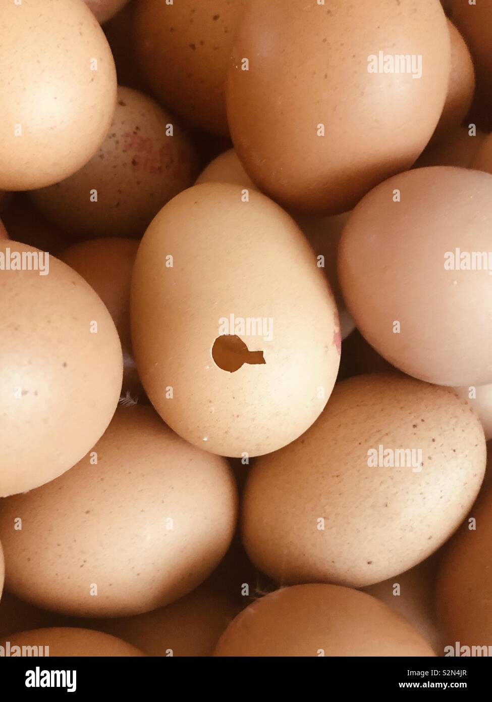 There is always one hi-res stock photography and images - Alamy