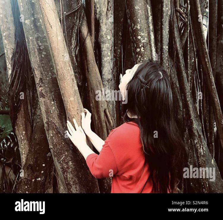 Energy from trees Stock Photo - Alamy