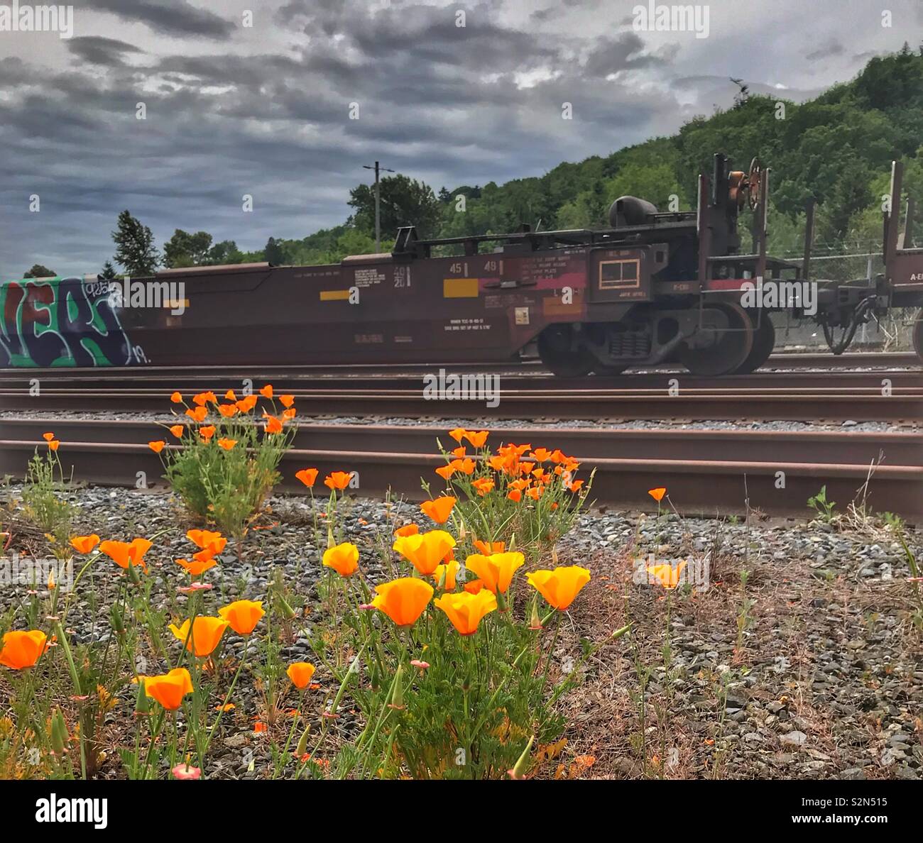 Flowers by train tracks hi-res stock photography and images - Alamy
