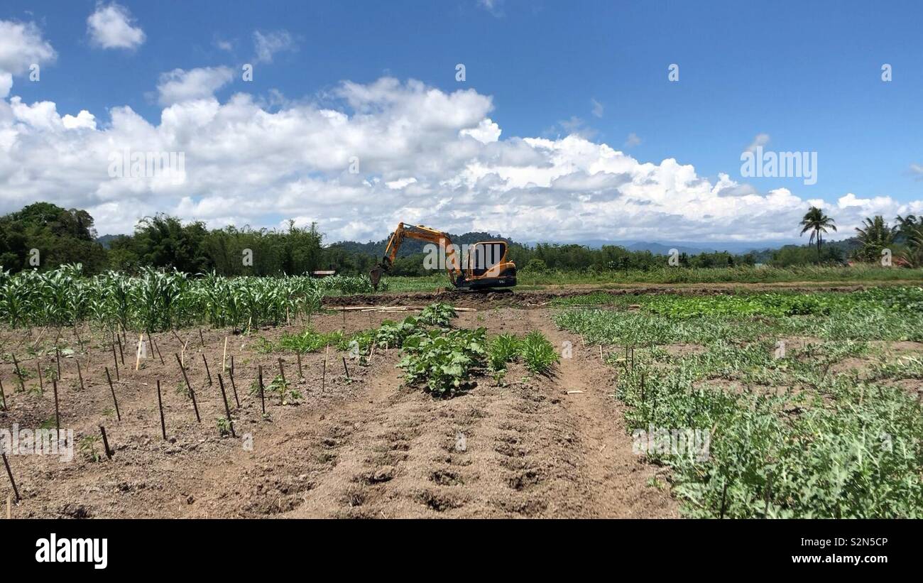 A tractor cultivating the farm Stock Photo - Alamy