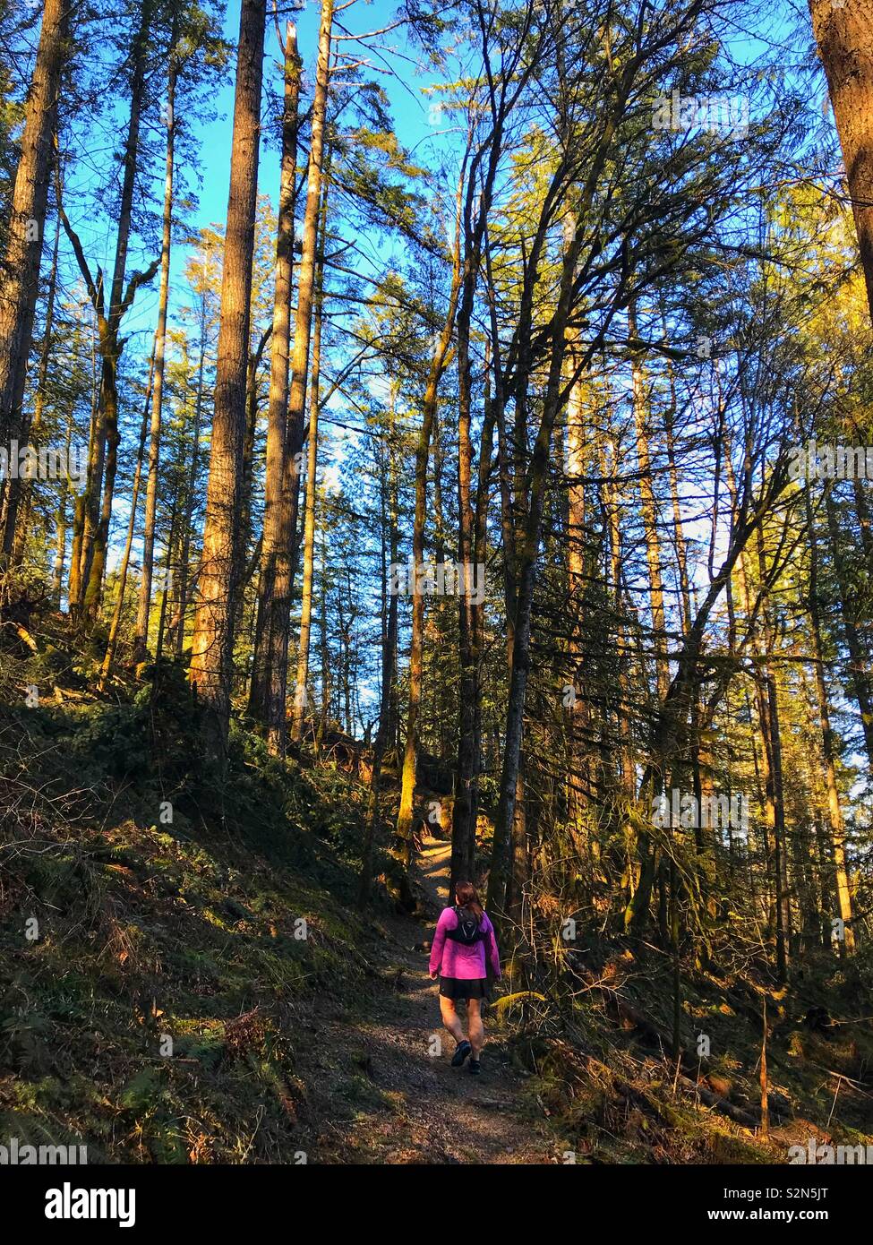 Adventurous trails hi-res stock photography and images - Alamy