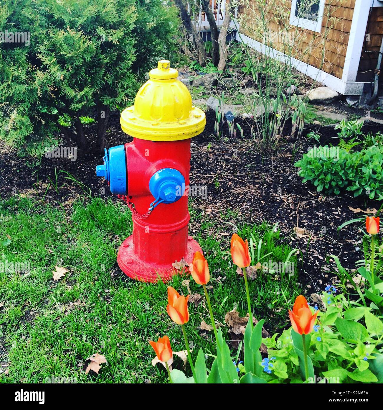 Colorful fire hydrant hi-res stock photography and images - Alamy