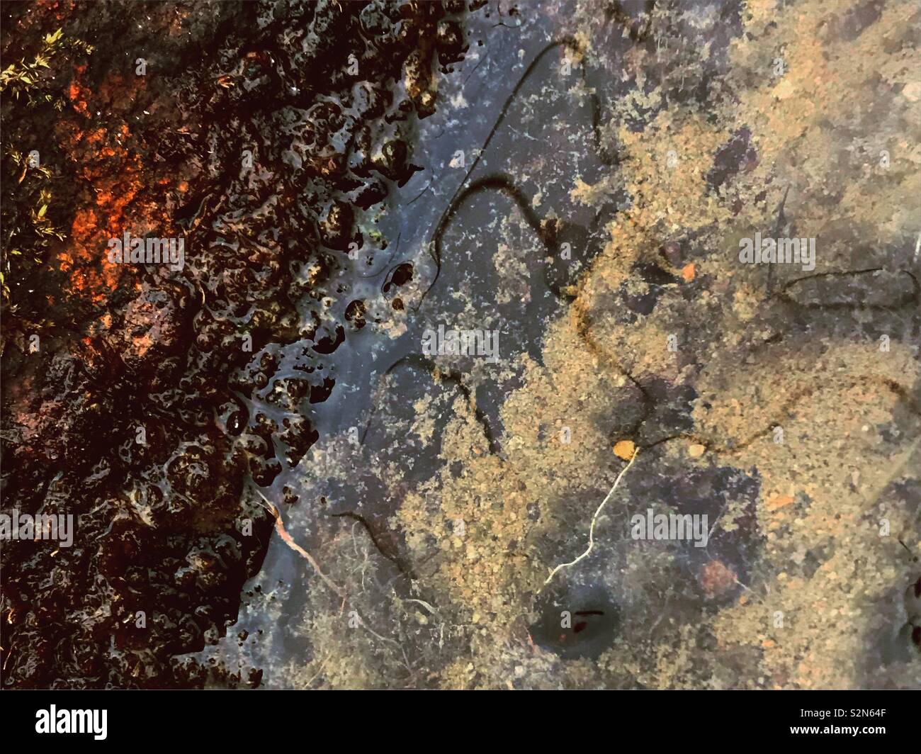 Natural textures, North England Stock Photo - Alamy