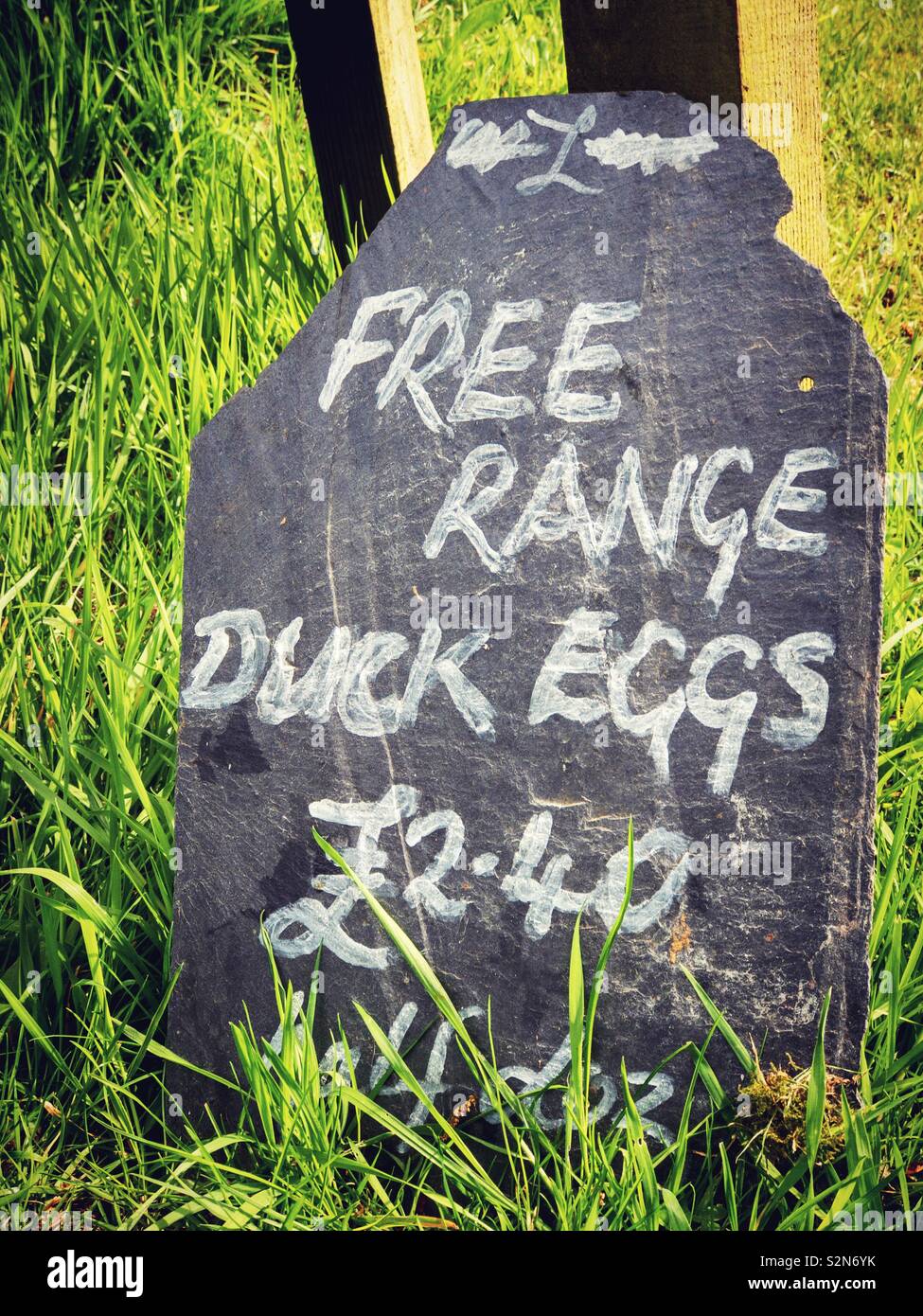 Eggs for sale signs hi-res stock photography and images - Alamy
