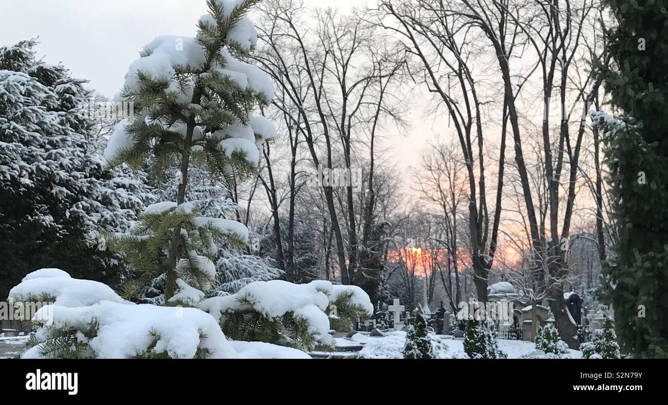 Cemetery snow scene Stock Photo - Alamy