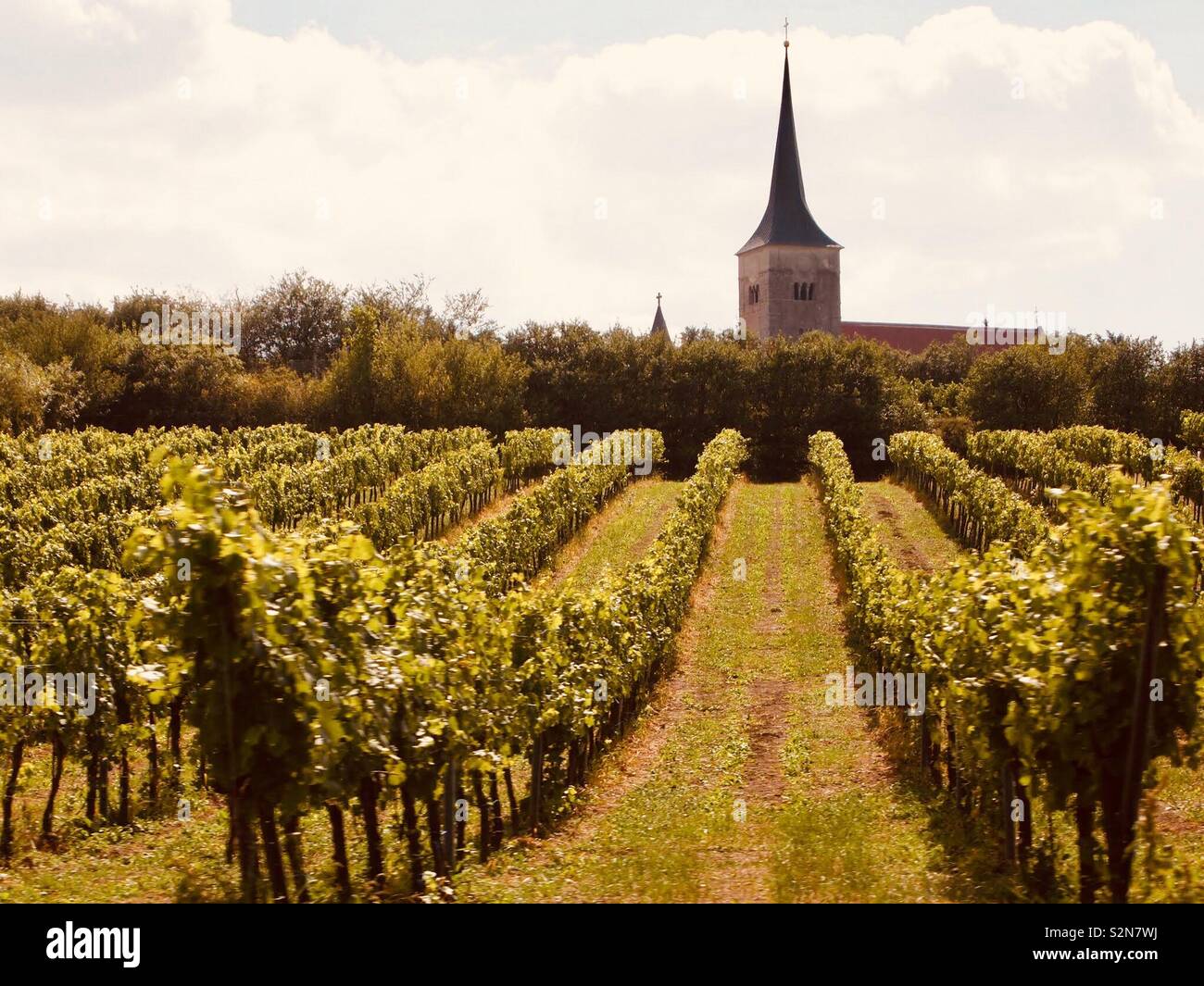 Weingarten hi-res stock photography and images - Alamy