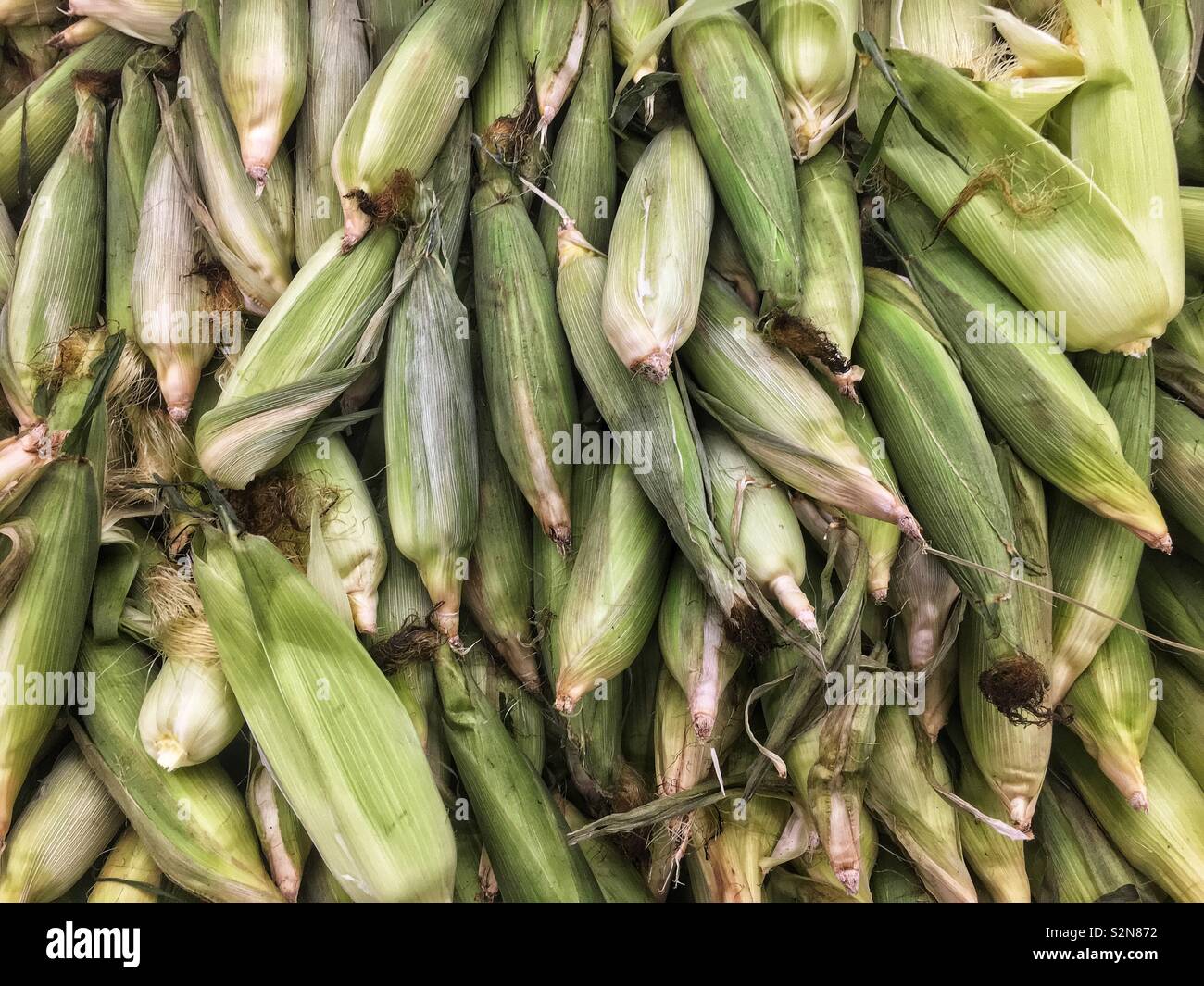 Corn cobs hi-res stock photography and images - Alamy