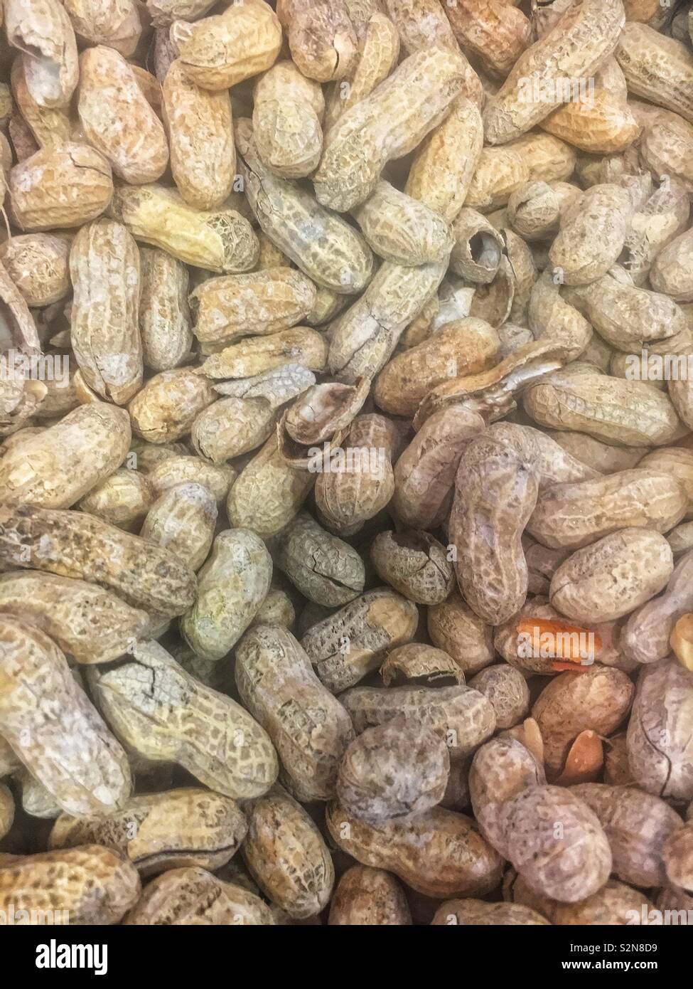 Roasted peanuts in the shell hi-res stock photography and images - Alamy