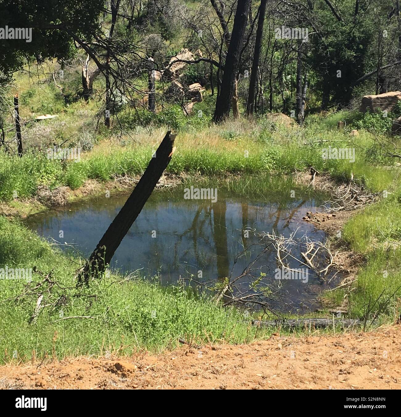 Heart pond hi-res stock photography and images - Alamy