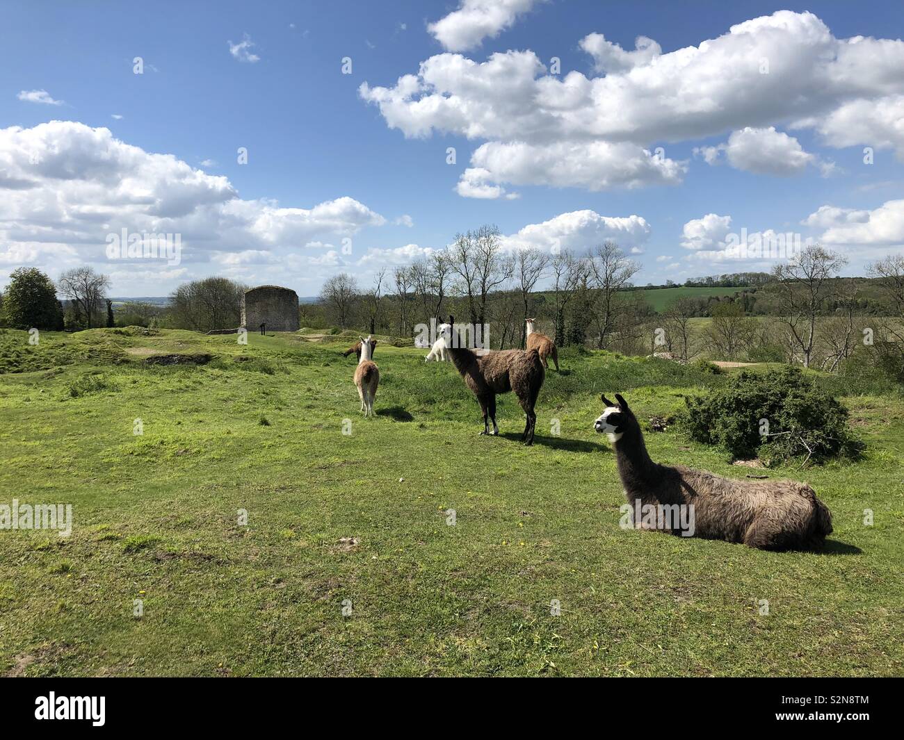 Clarendon park hi-res stock photography and images - Alamy