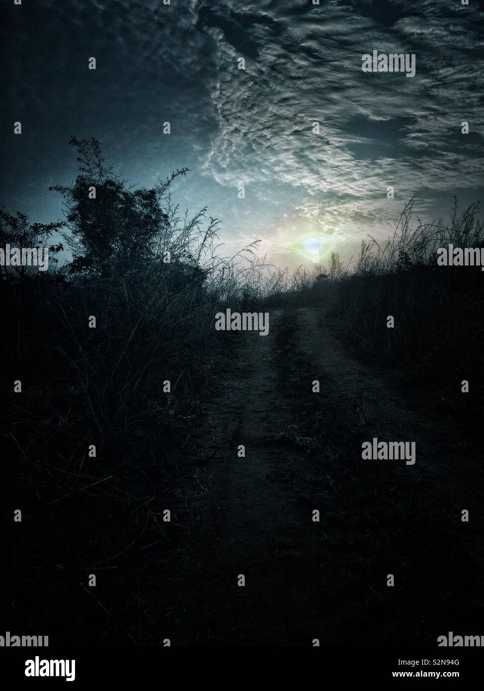 Pathway journey hi-res stock photography and images - Alamy