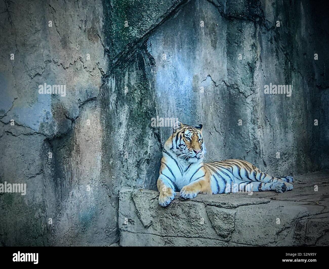 Potawatomi zoo hi-res stock photography and images - Alamy