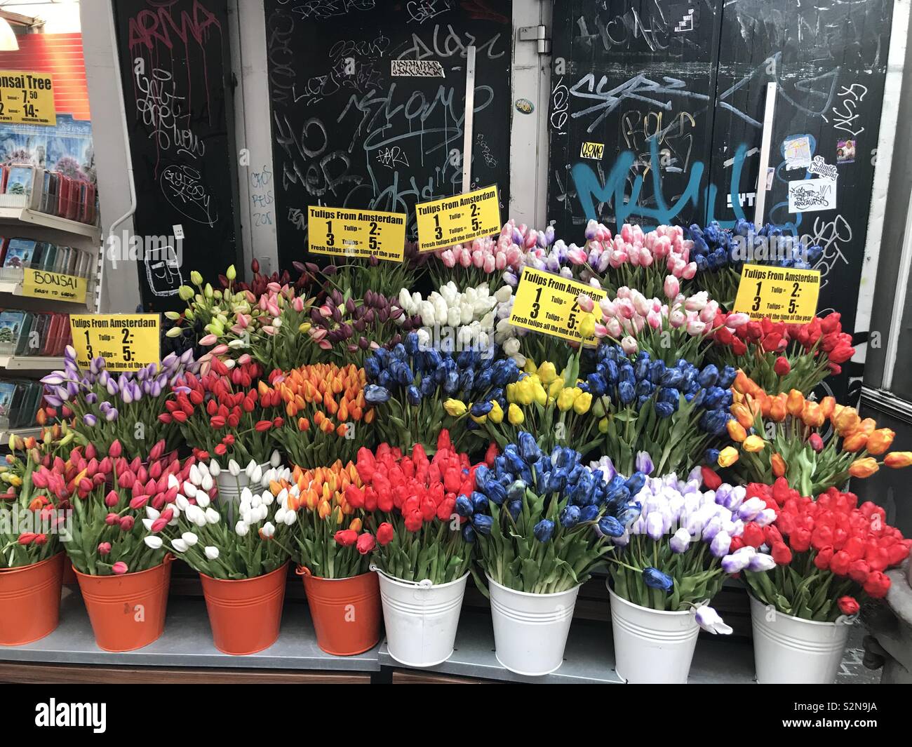 Colorful tulips in the flower market, Amsterdam Stock Photo - Alamy